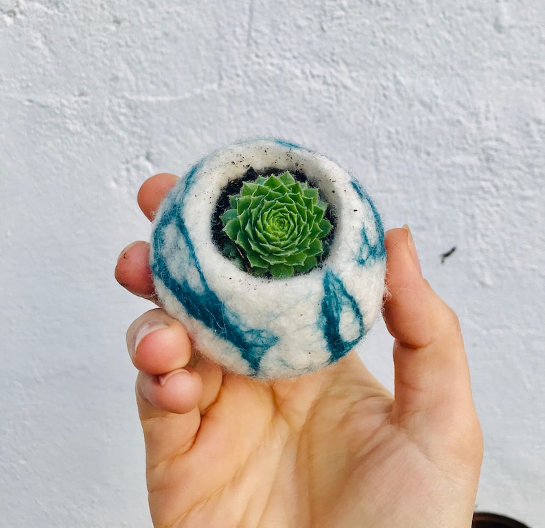 Cactus Pod, Cactus Planter, Plant Pod, Cactus Pot, Felt Pod, Plant Pot ...