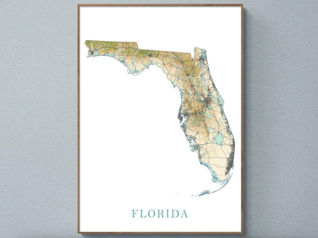 Florida State Map Posters and Prints, Topographic Landscape Terrain ...