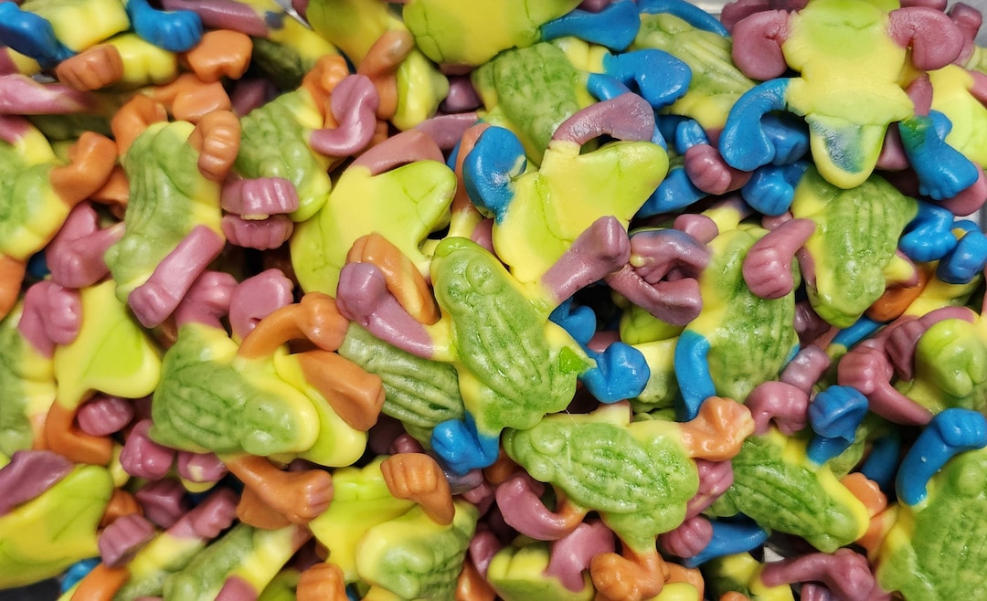 Tropical Filled Frog Gummies Frog Gummies Gummy Candy - Etsy