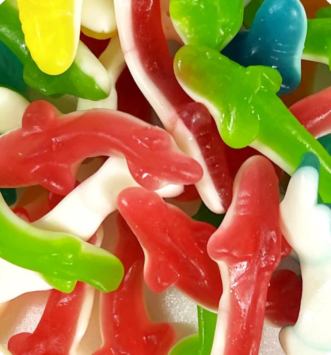 Shark Gummies Assorted Flavored Shark Gummies Gummy Candy - Etsy