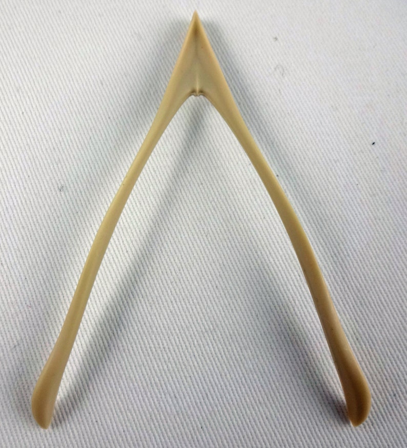 Plastic Wishbones for Fall or Holiday Centerpieces and Table | Etsy