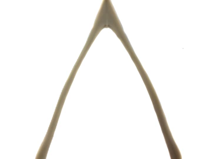 Plastic Wishbones for Fall or Holiday Centerpieces and Table Settings ...