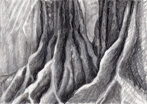 Tree Roots Pencil Drawing