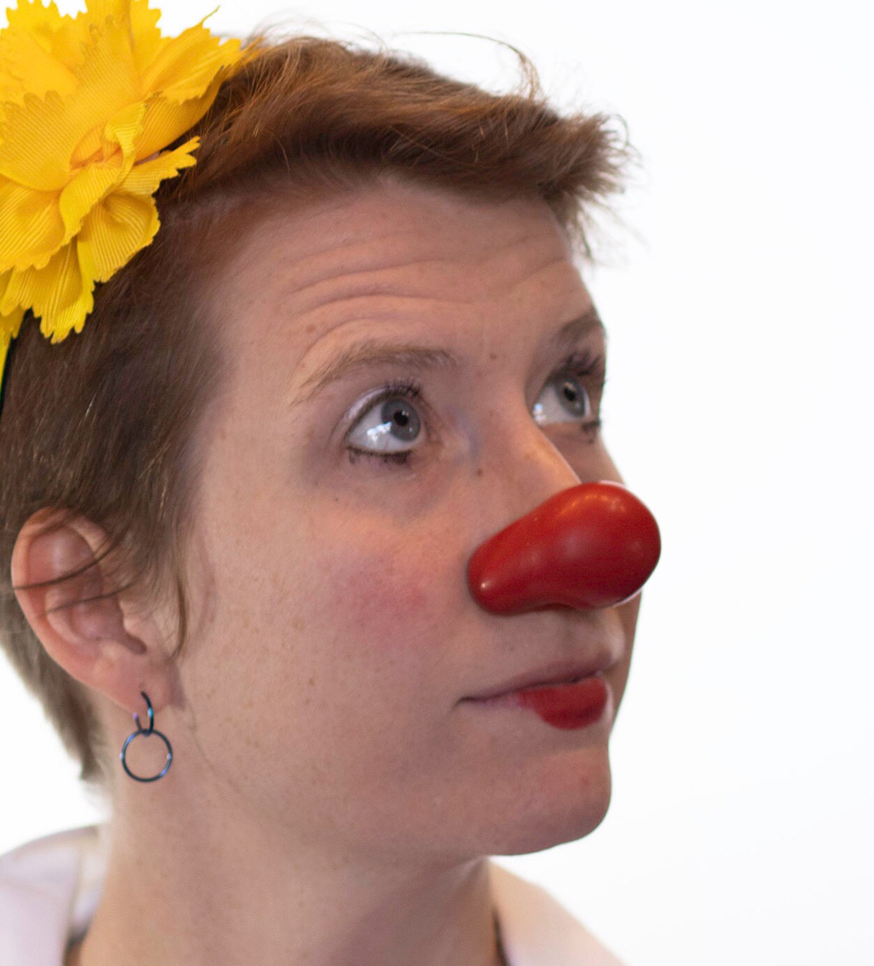 Performance-Quality Clown Nose The W.C. Fields Large | Etsy