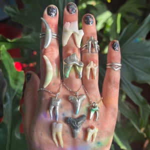 Sterling Silver Cast Tooth Ring or Necklace - Etsy