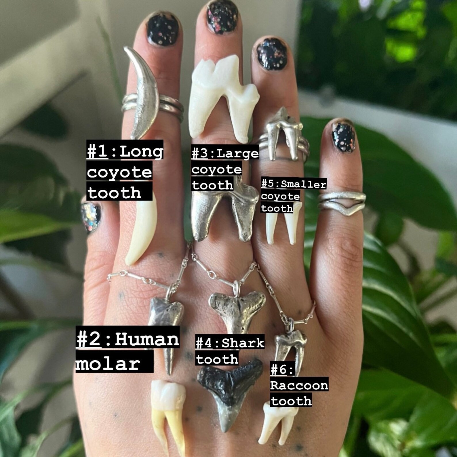 Sterling Silver Cast Tooth Ring or Necklace - Etsy
