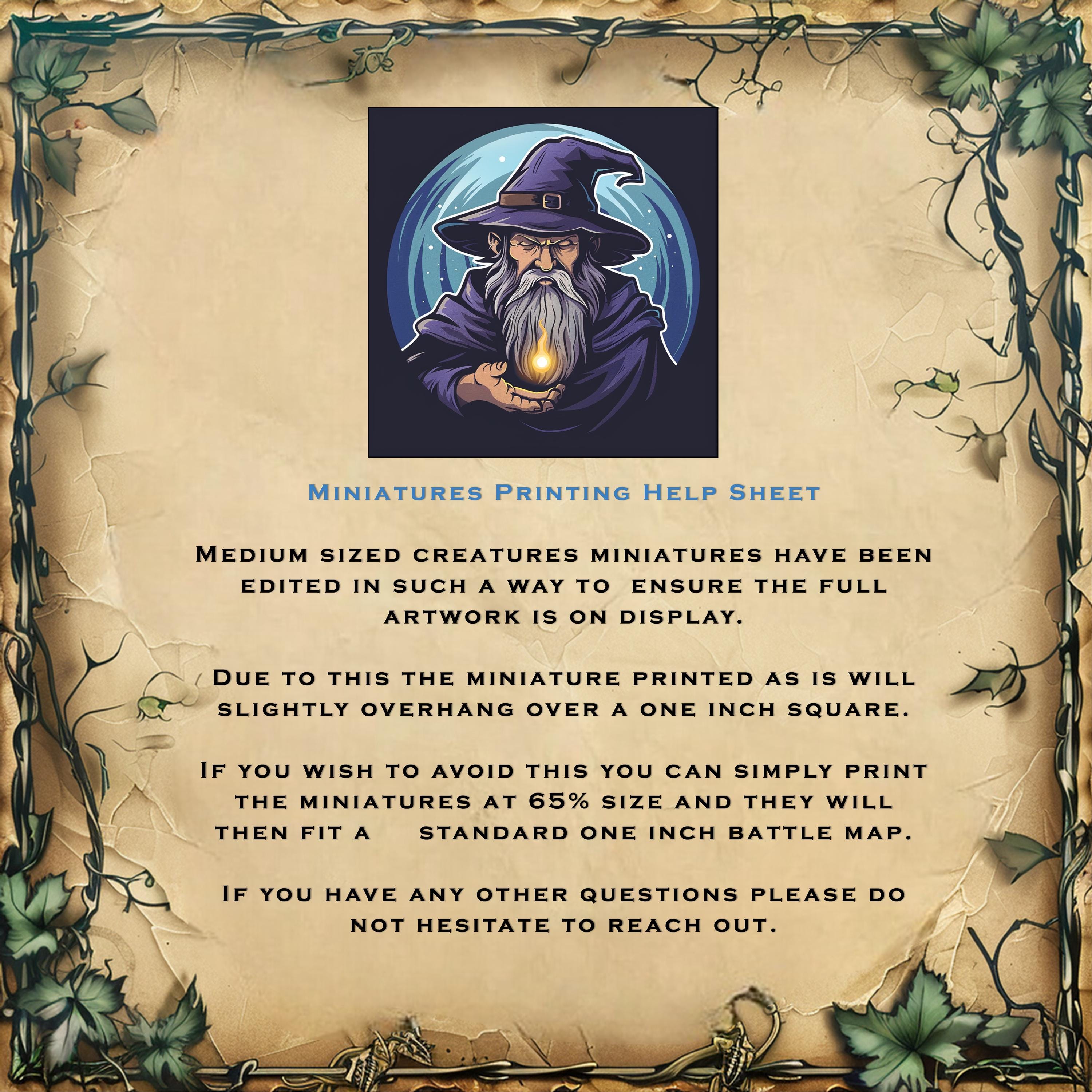 Printable Dungeons and Dragons Miniatures Lost Mines of Phandelver Full ...