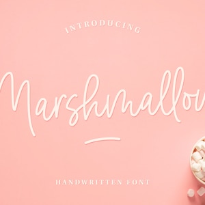 Marshmallow Font Bouncy Handwritten Signature Script Font TTF / OTF ...