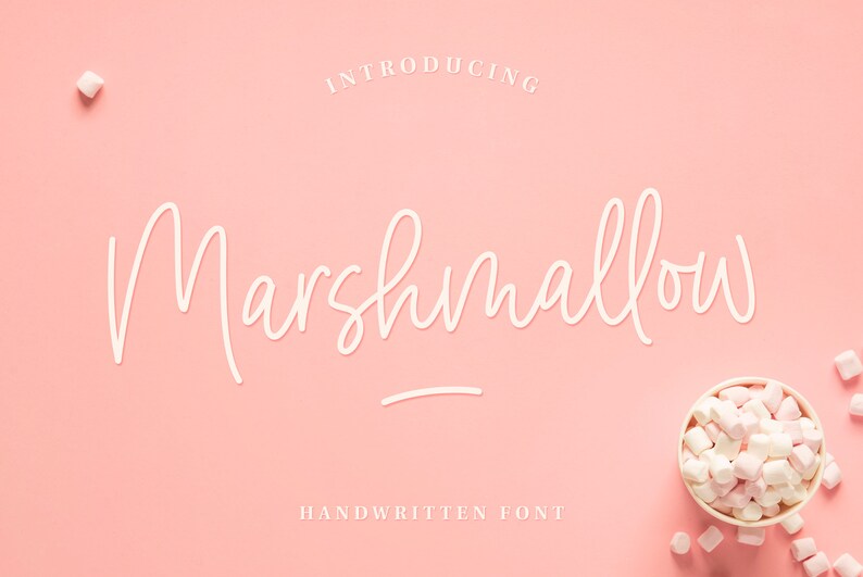 Marshmallow Font Bouncy Handwritten Signature Script Font TTF / OTF ...