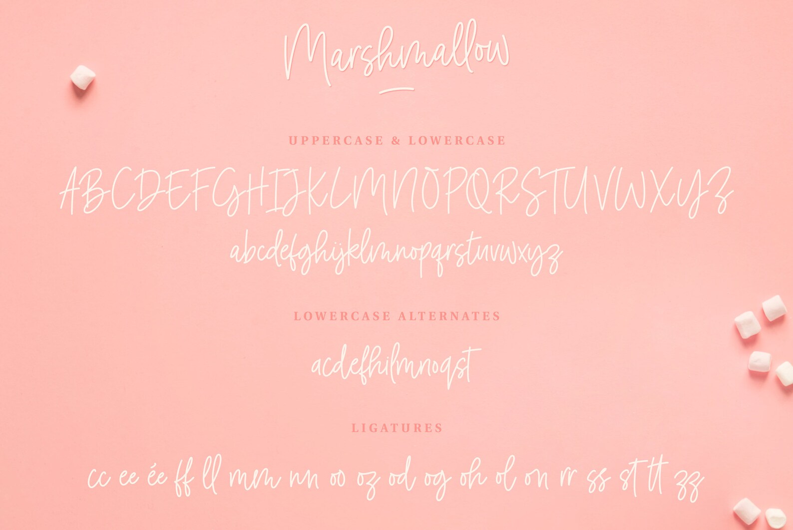 Marshmallow Font - Bouncy Handwritten Signature Script Font - TTF / OTF ...