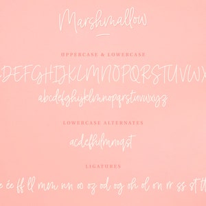 Marshmallow Font - Bouncy Handwritten Signature Script Font - TTF / OTF ...