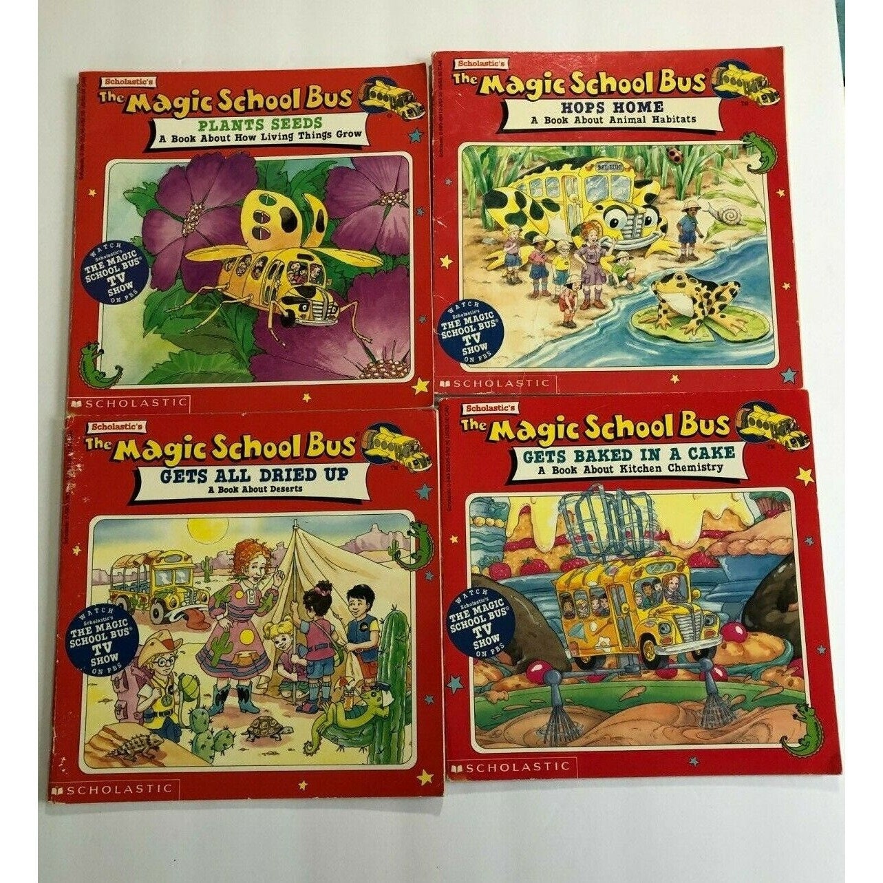 Scholastic's the Magic School Bus Picture 4 Paperback Books - Etsy
