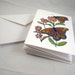 Monarch Butterfly Stationery Set - Set of 8 Blank Inside Note Card Set ...