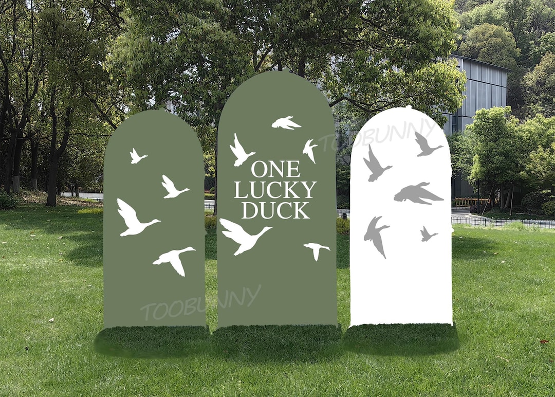One Lucky Duck Baby Shower Backdrop: Double-sided Arch Cover - Etsy