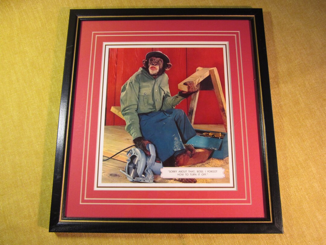 Vintage Custom Framed Comedy Chimpanzee Photo Print,black Wood Frame12 ...