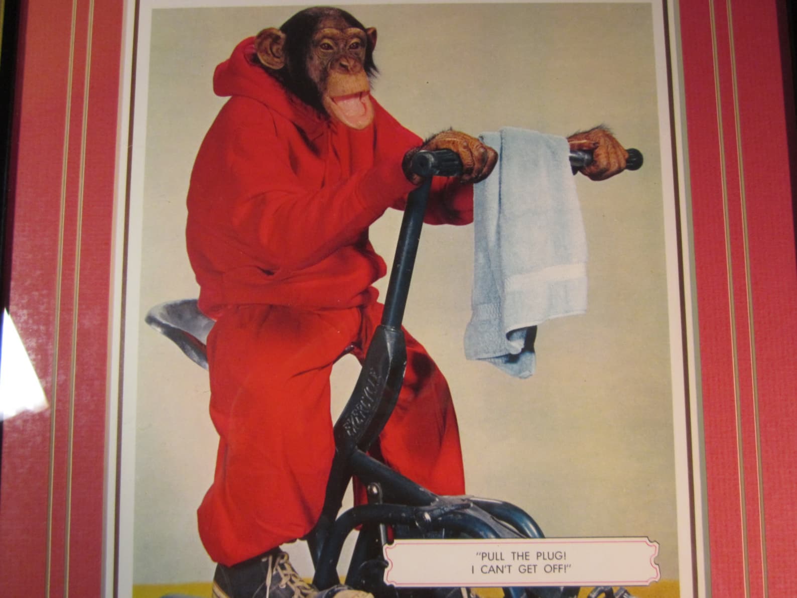 Vintage Custom Framed Comedy Chimpanzee Photo Print - Etsy UK