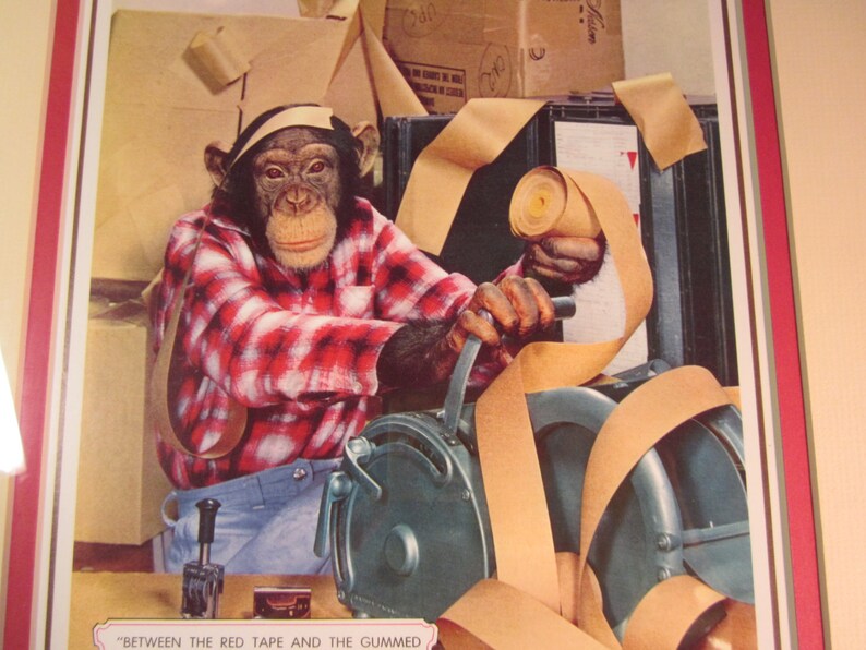 Vintage Custom Framed Comedy Chimpanzee Photo Print - Etsy