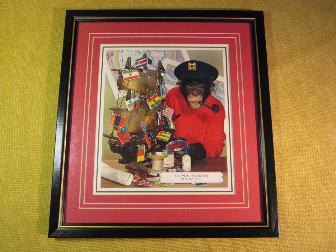 Vintage Custom Framed Comedy Chimpanzee Photo Print, Black Wood Frame W ...