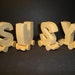 SUSY Wood Letter Name Train, 2x3, Unfinished for Painting, Kids Craft ...