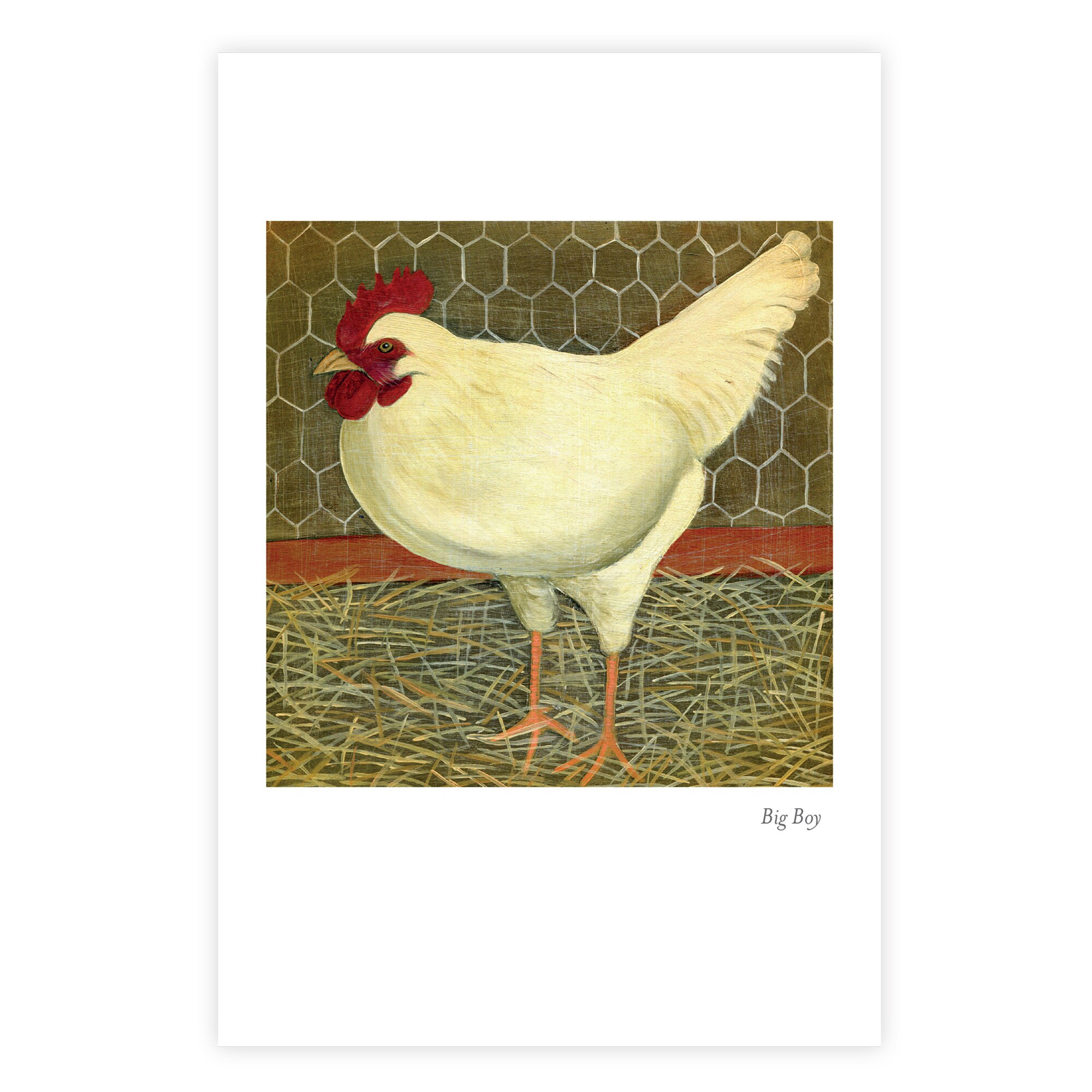 Chicken Postcards - Etsy