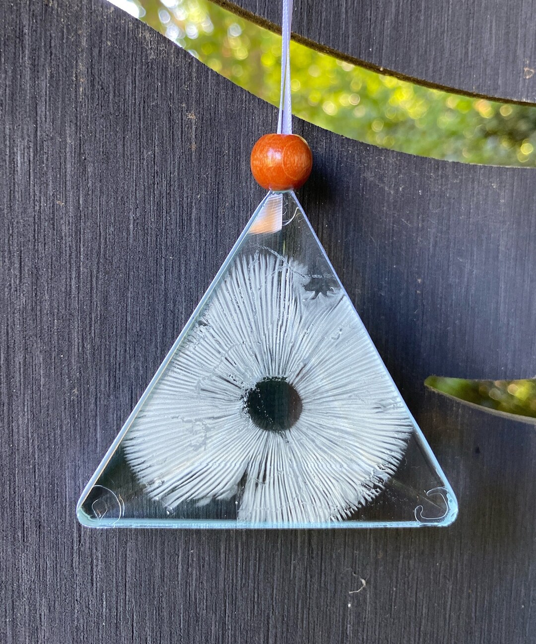 Mushroom Spore Print Glass Ornament or Sun Catcher 2 - Etsy