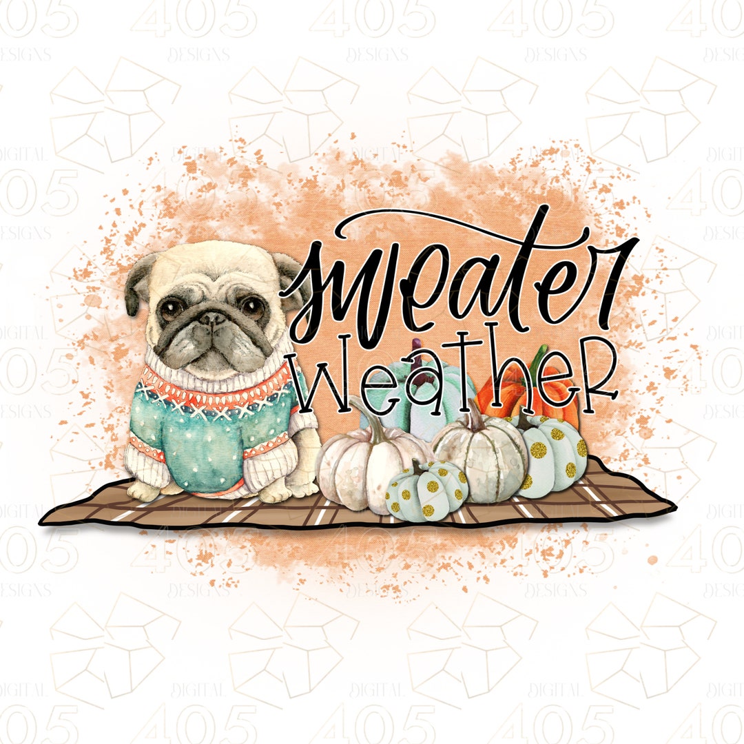 Sweater Weather Fall Pug Pumpkin PNG Sublimation Autumn Digital ...