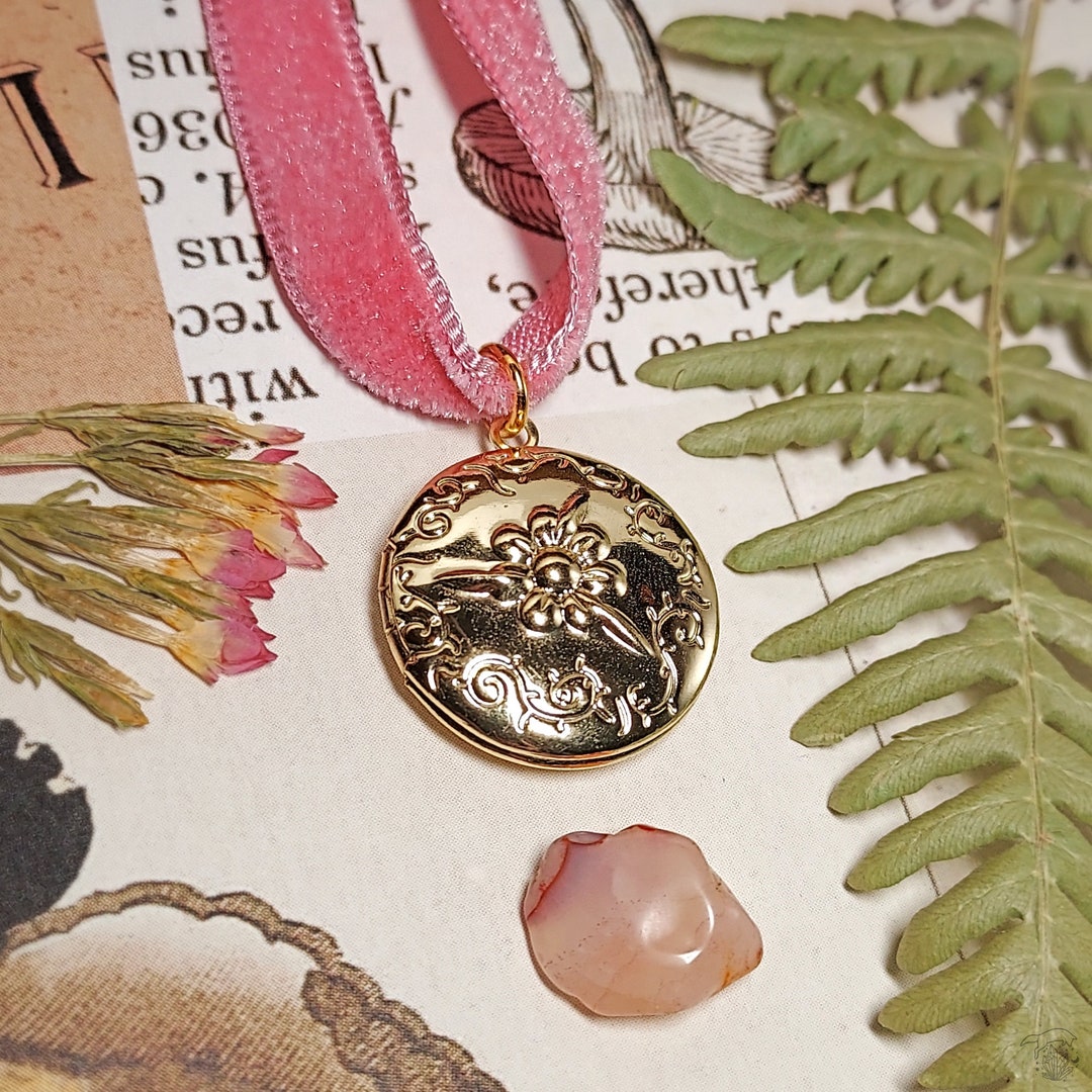 Pink Velvet Locket Choker - Etsy