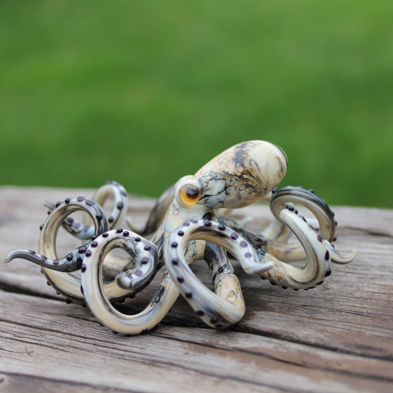 Blown Glass Octopus - Etsy
