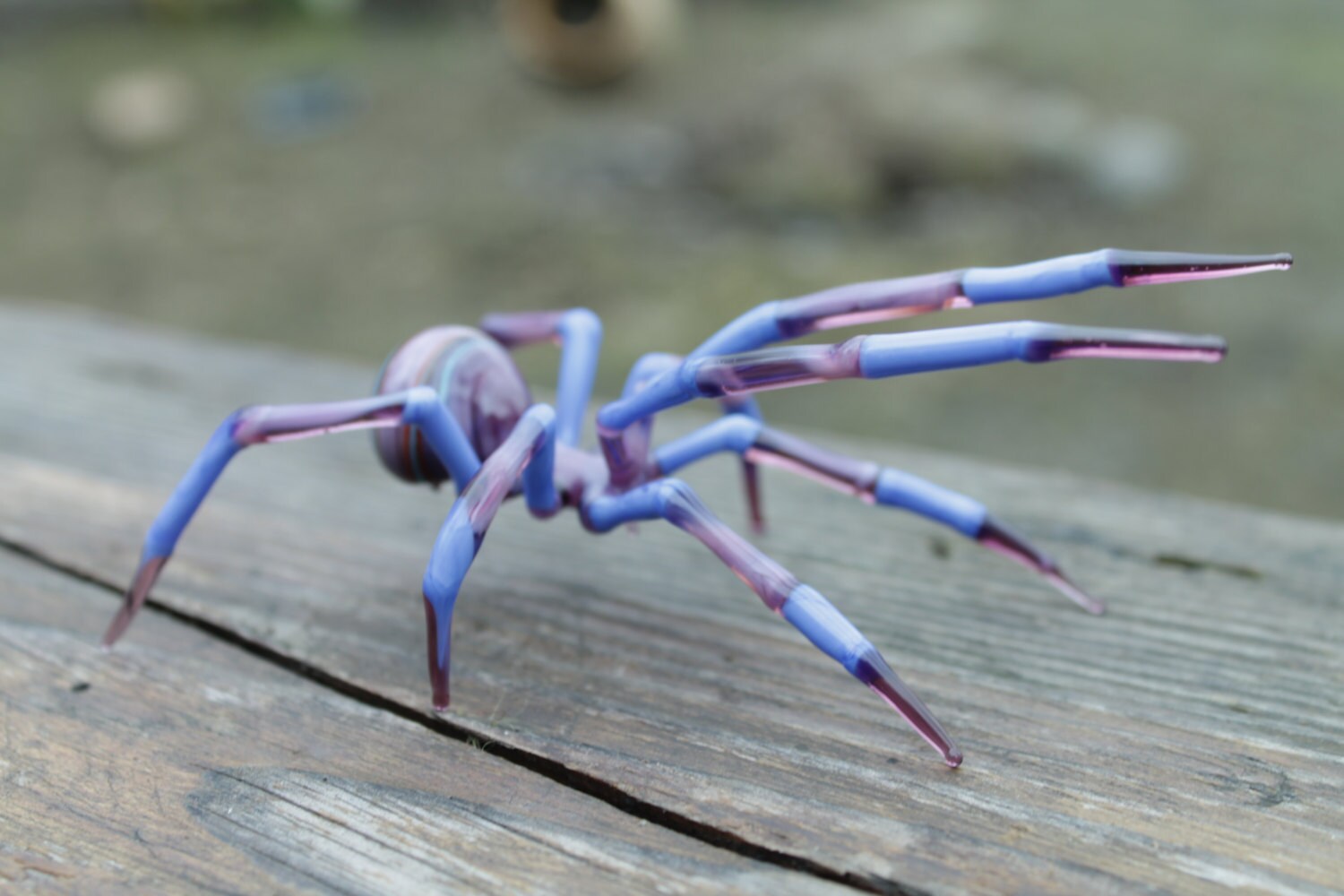 Glass Spider, Glass Insect , Blown Glass, Spider Sculpture, Figurine ...