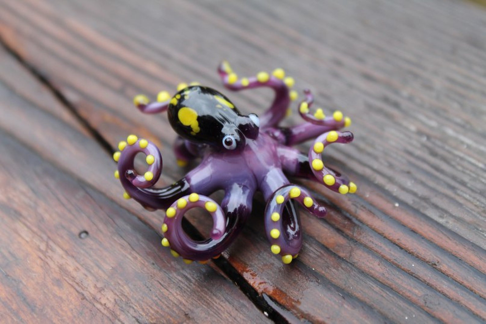Blown Glass Octopus Glass Octopus Glass Polpo Octopus Ocean - Etsy Canada