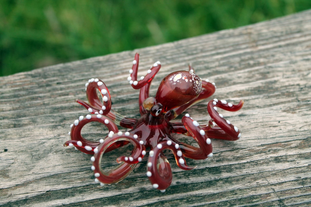 Blown Glass Octopus, Glass Octopus, Glass, Octopus, Ocean, Octopus ...