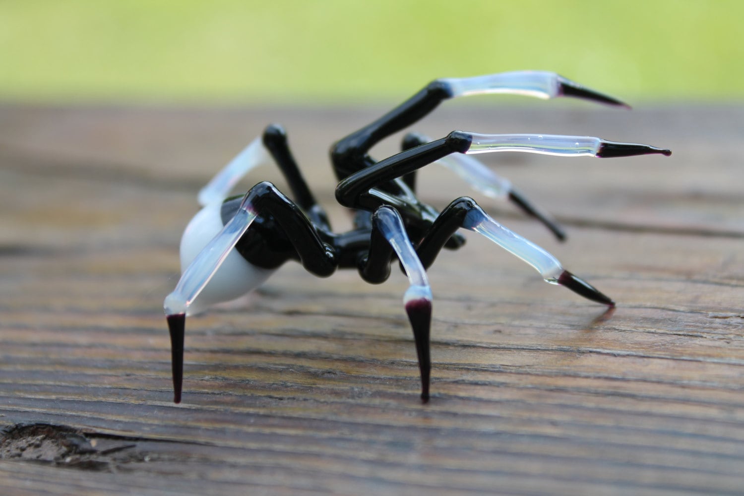 Glass Spider Spider Blown Glass Art Glass Blown Glass Art - Etsy