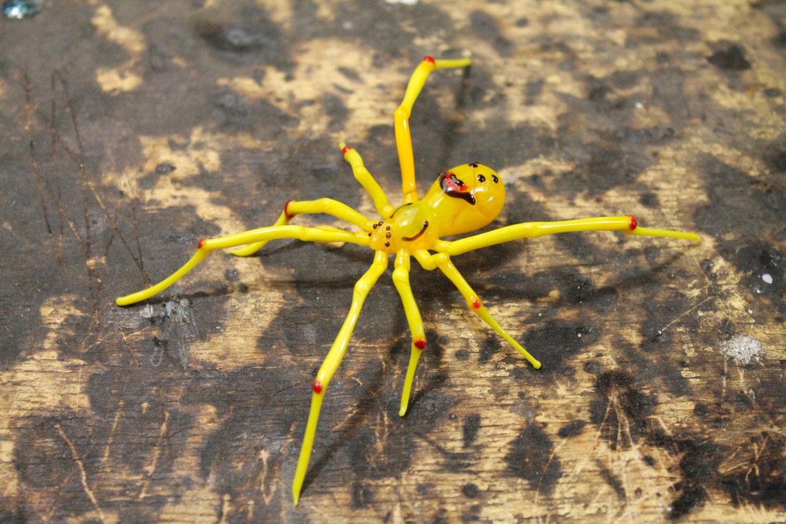 The happy-face spiders Theridion grallator Hawaiian | Etsy