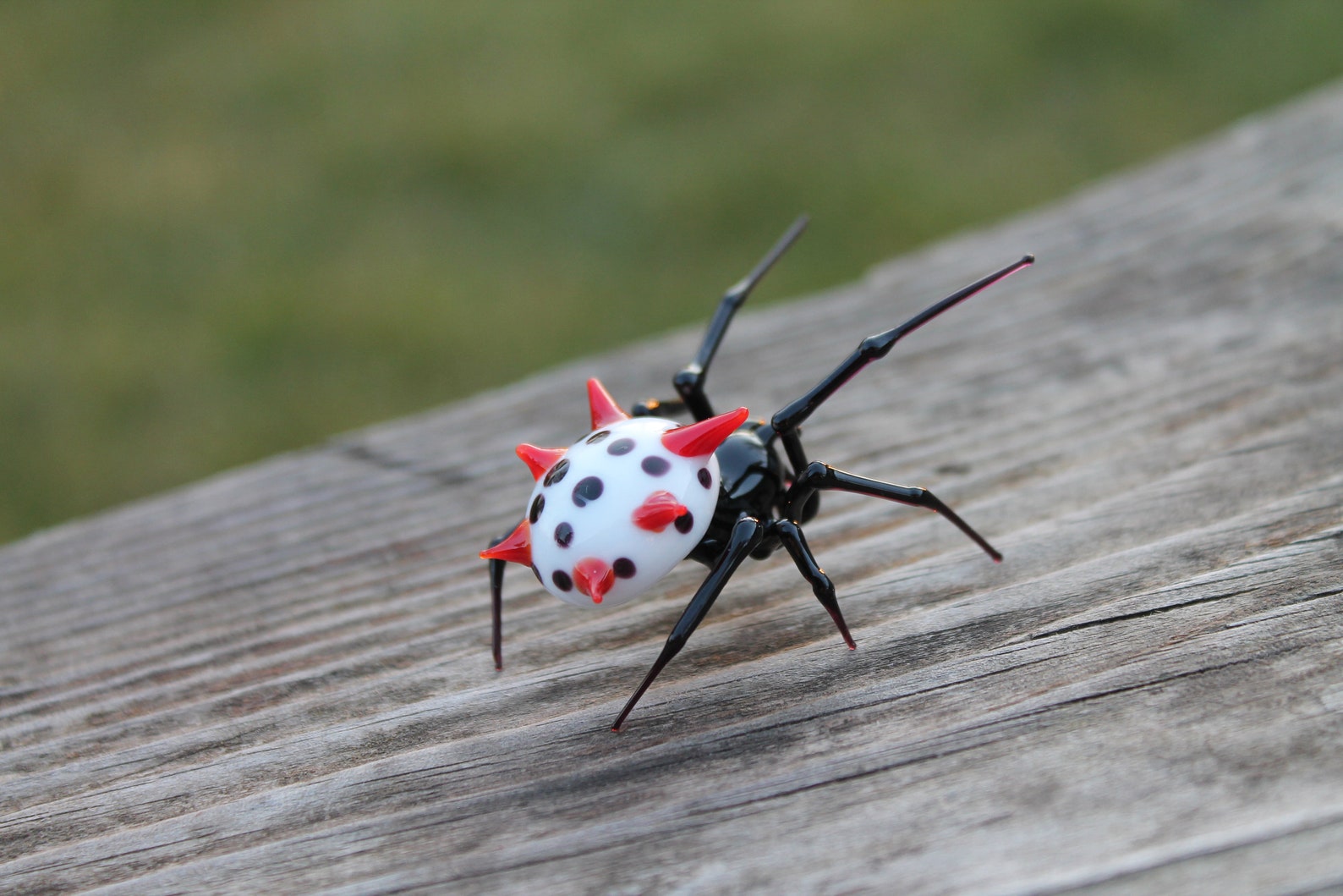 Glass Spider Horned Spider Spiny Orb-weaver Glass Spider | Etsy