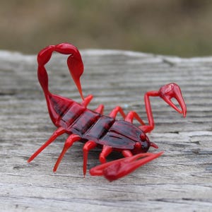 Bright Red Scorpion Glass Miniature, Animals Glass, Art Glass, Blown ...