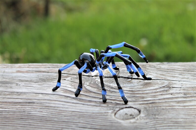 Hand Blown Glass Tarantula Blown Glass Tarantula Spider Sculpture ...