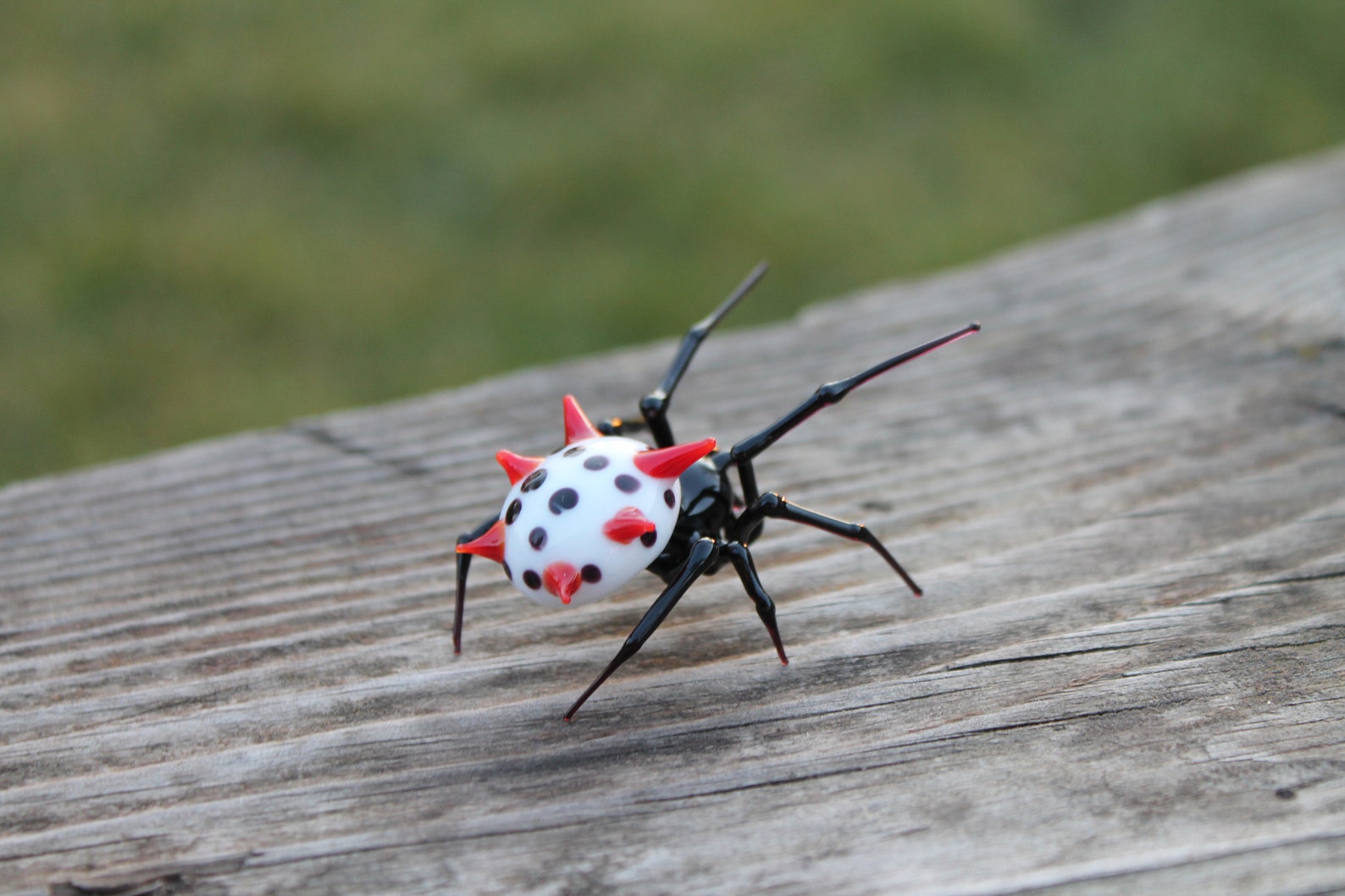 Glass Spider Horned Spider Spiny Orb-weaver Glass Spider - Etsy