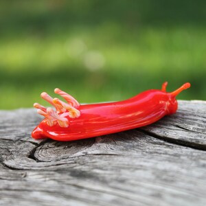 Nudibranch - Sea Slug Glass Sculpture - Slug Figure - Sea Slug ...