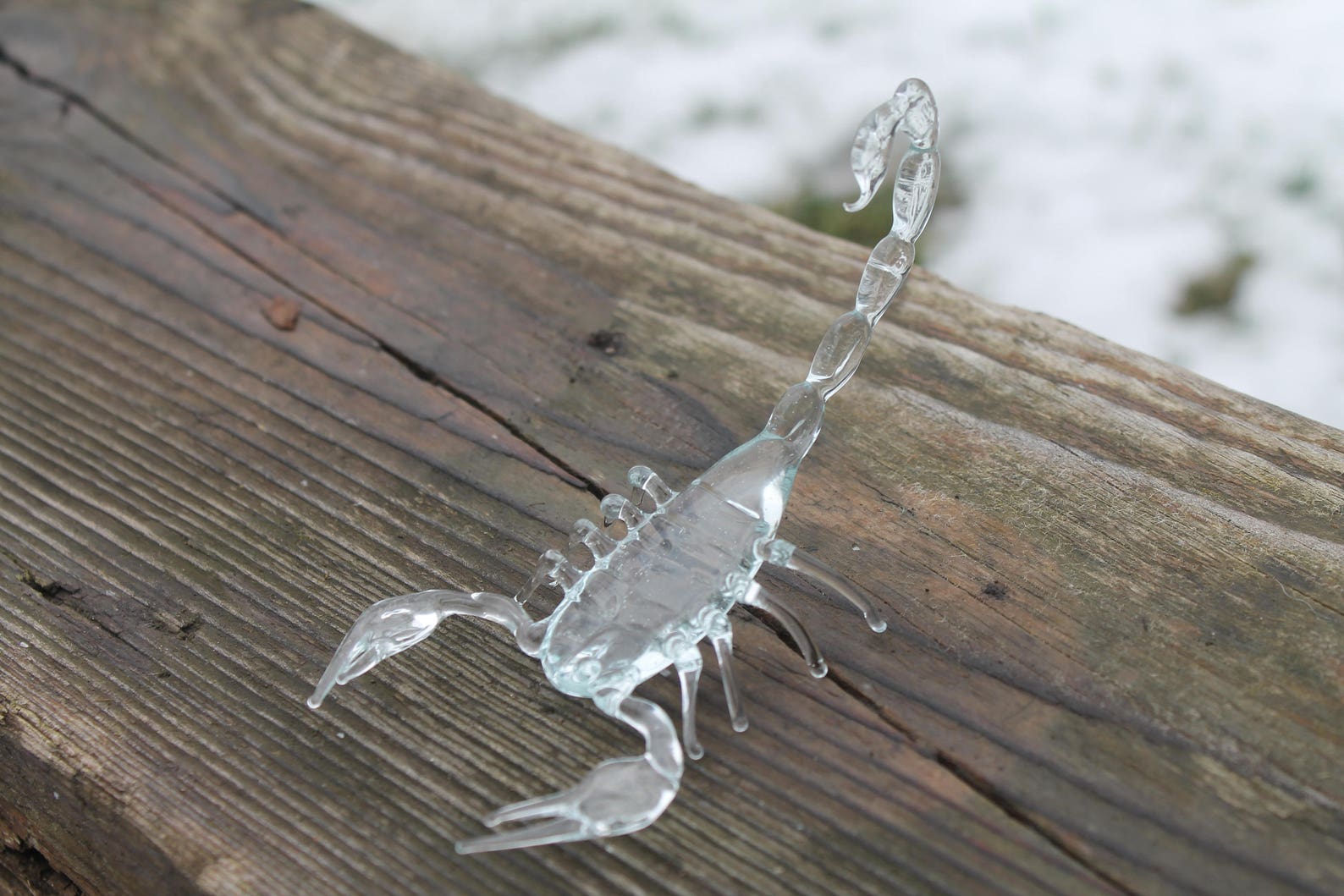 Glass Figurine Scorpion Blown Glass Animals Murano Glass Scorpion ...