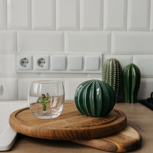 Mexico Glass Cactus Tequila Drink Water Cup Handmade Unique Green Cacti ...