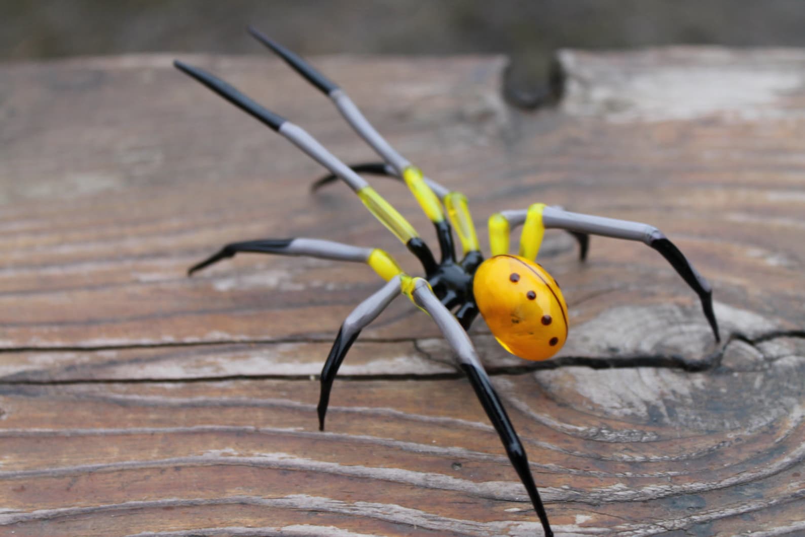 Spider Animals Glass Art Glass Blown Glass Spider - Etsy