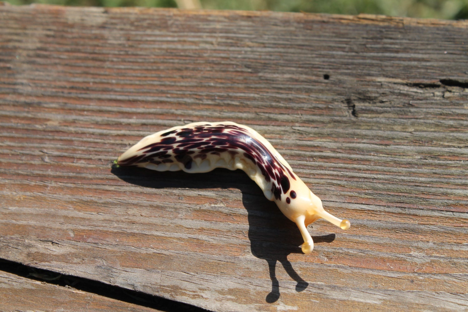 Spotted Slug Glass Sculpture GLASS SLUG Lampwork Glass Animals - Etsy