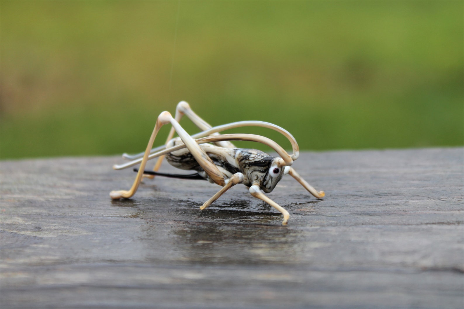 Glass Grasshopper Miniature Glass Insects Sculpture Collectible ...