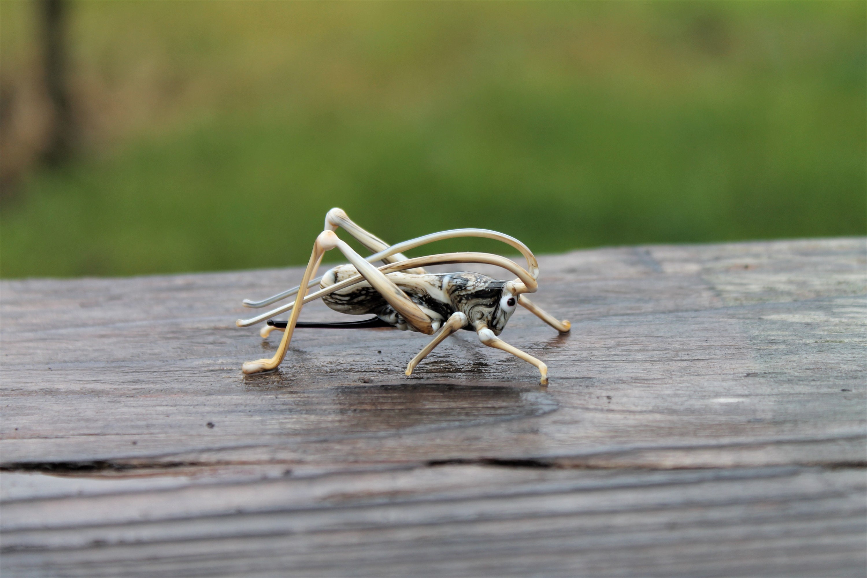 Glass Grasshopper Miniature Glass Insects Sculpture Collectible ...