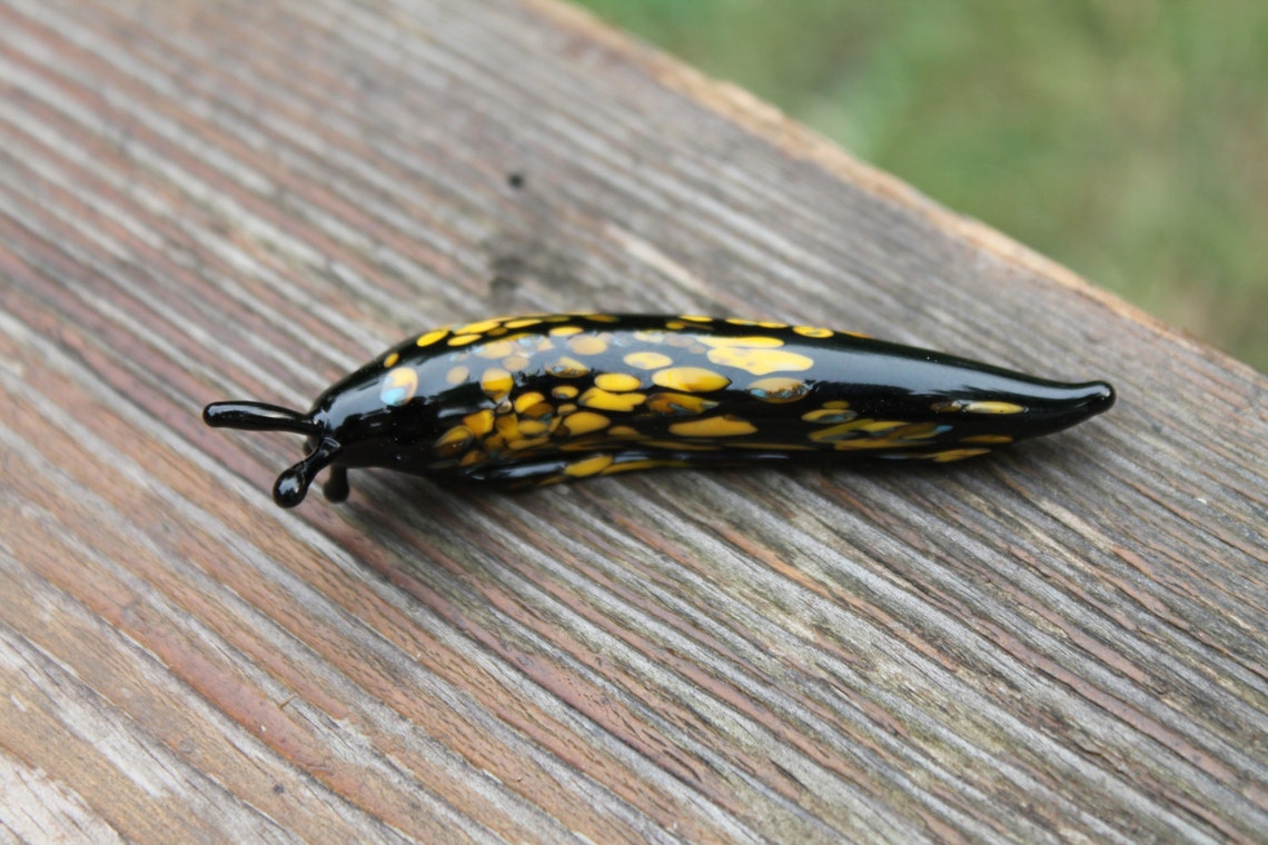 Spotted Slug Glass Sculpture GLASS SLUG Lampwork Glass Animals | Etsy ...