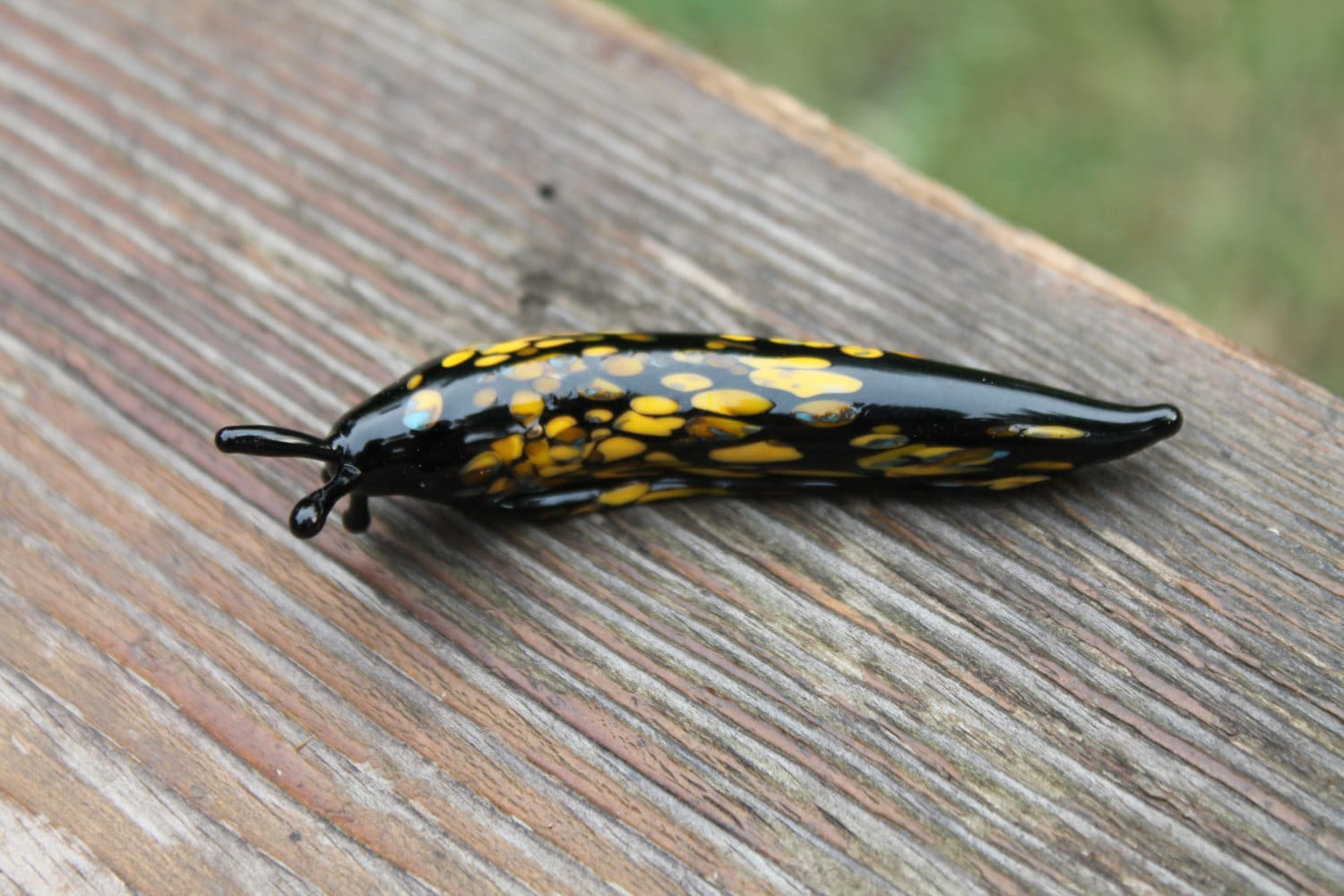 Spotted Slug Glass Sculpture GLASS SLUG Lampwork Glass Animals ...