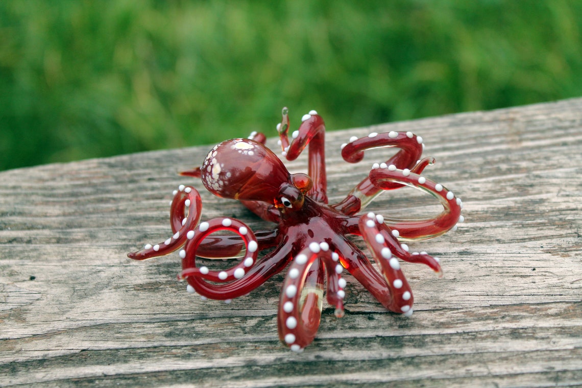 Blown Glass Octopus, Glass Octopus, Glass, Octopus, Ocean, Octopus ...