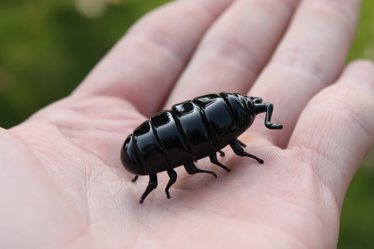 Glass Woodlouse Glass Bug Art Glass Blown Glass Bug Glass - Etsy