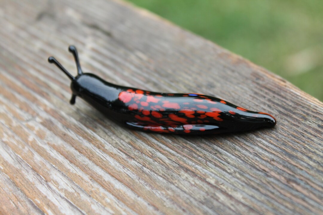 Spotted Slug Glass Sculpture GLASS SLUG Lampwork Glass Animals ...