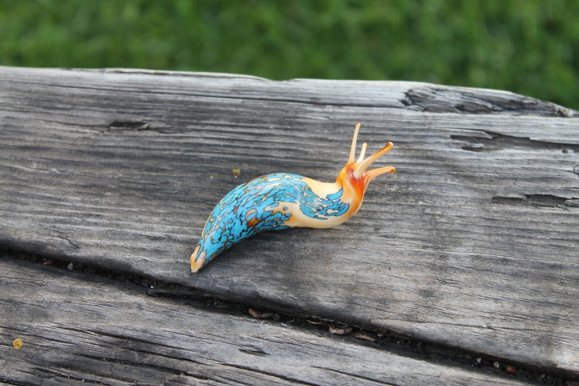 Spotted Slug Glass Sculpture GLASS SLUG Lampwork Glass Animals - Etsy